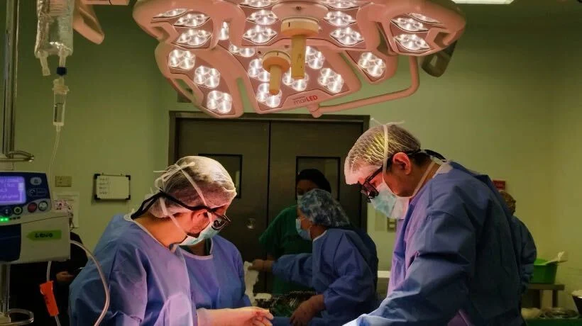 Hospital de Puerto Montt lidera a nivel nacional el procuramiento de ... Hospital de Puerto Montt lidera a nivel nacional el procuramiento de ...