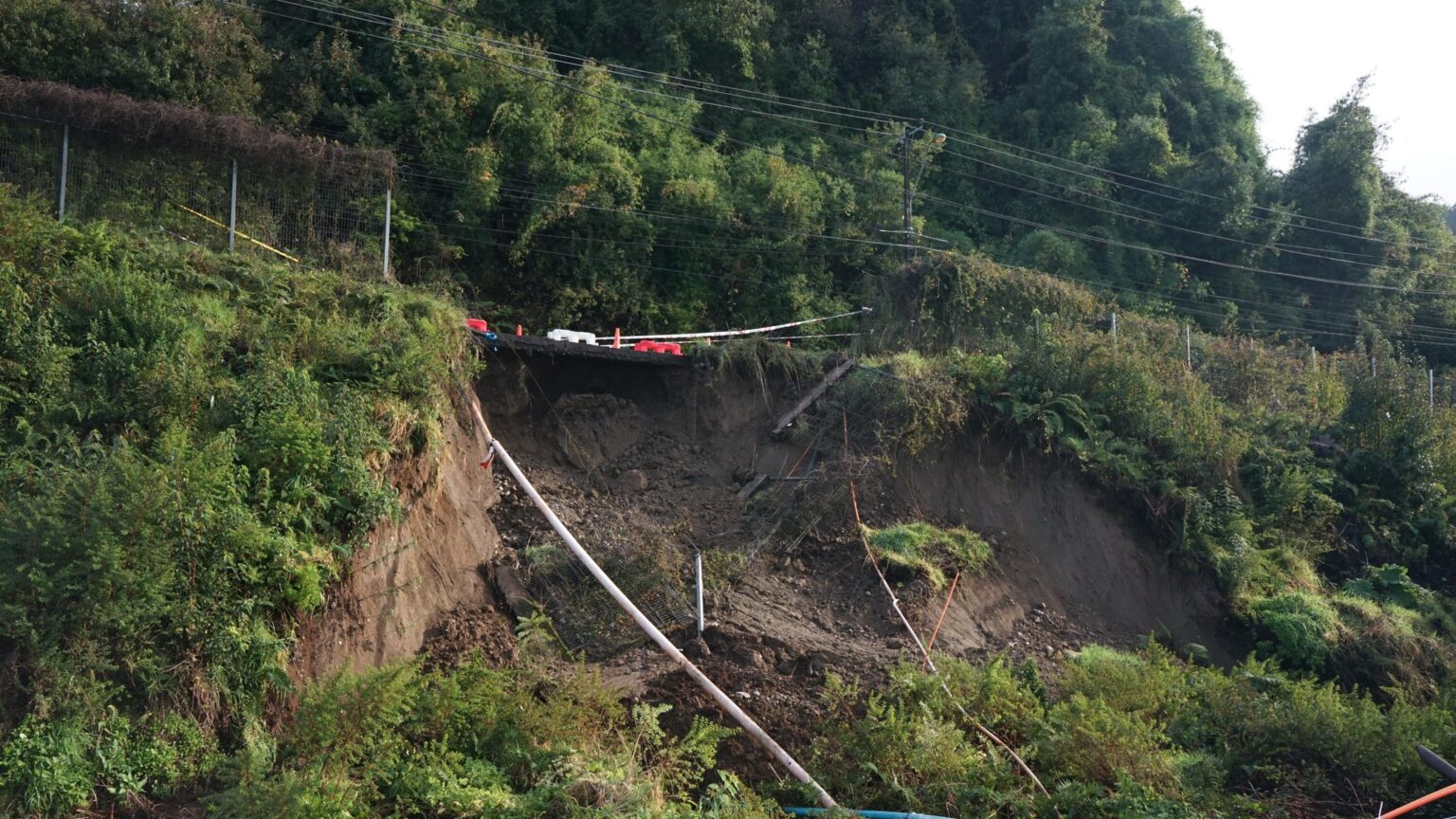 SOY DE PUERTO - Noticias de Puerto Montt